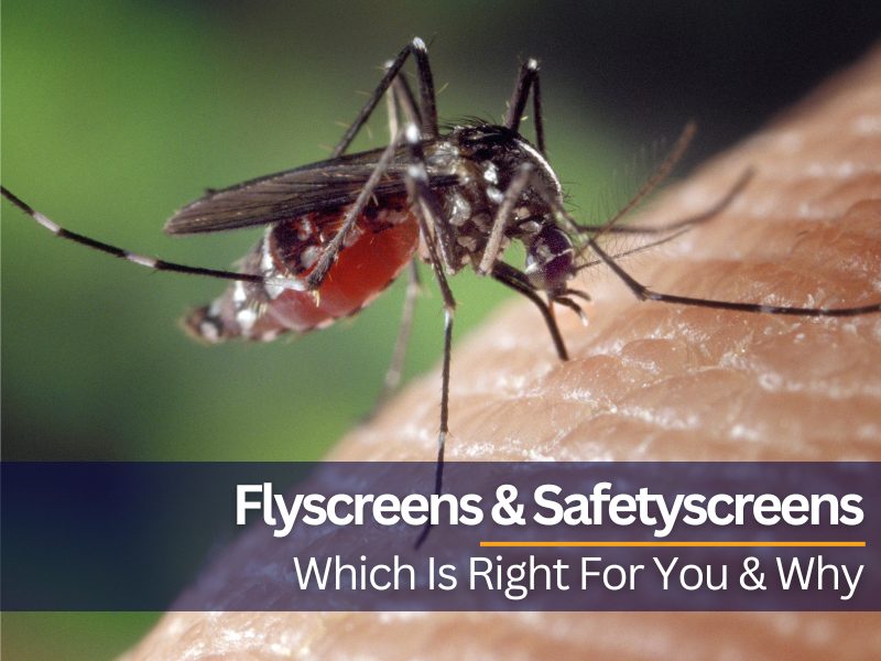 Flyscreens vs Safetyscreens: Which Is Right For You And Why. - Southern ...